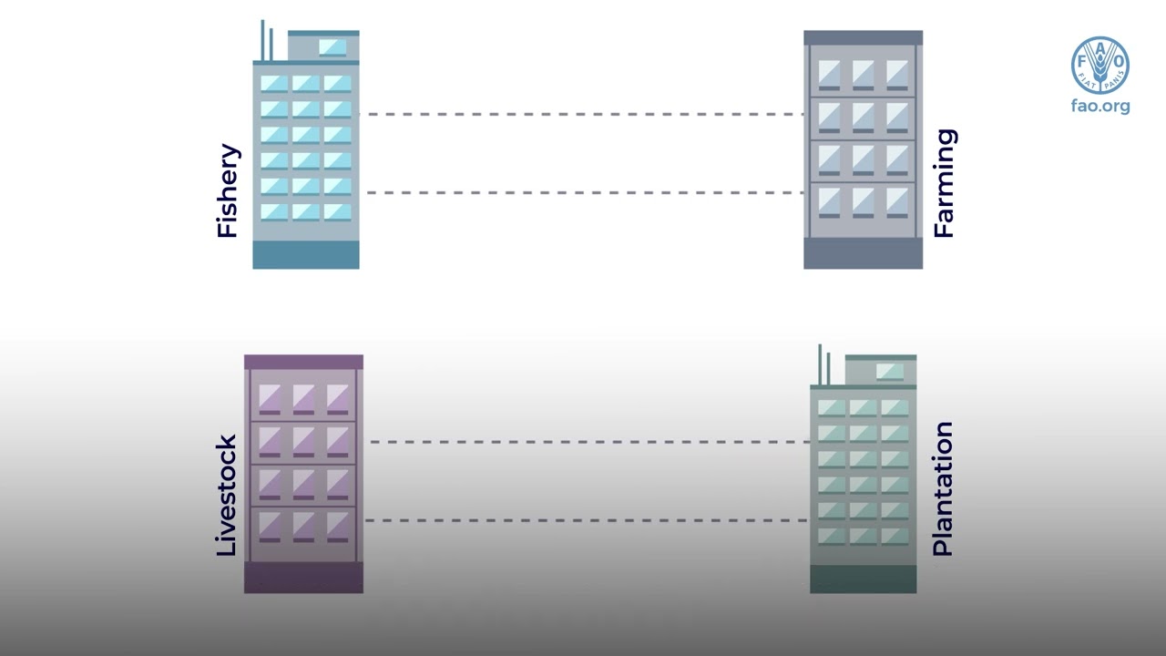 Interoperability Framework: Organizational interoperability