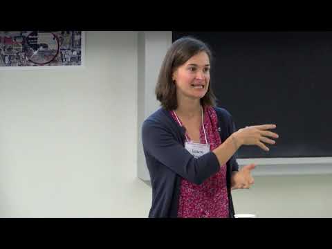 Bringing Citizen Science Zooniverse-based Research Experiences into Introductory Science Courses