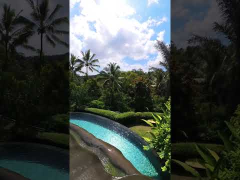 Padma Resort Ubud, Bali! Double infinity pool! #luxurytravel #bali #besthotelsinbali