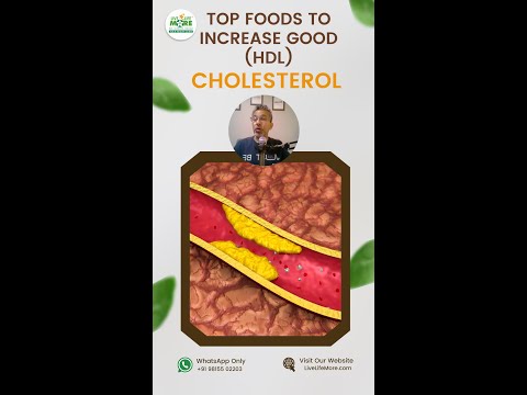 Top Foods To Increase Good Cholesterol - Best Foods For Hdl Cholesterol - Increase Good Cholesterol