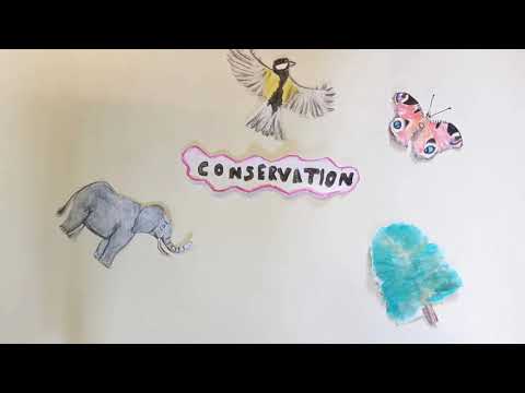 What is Conservation? Episode 1 - Introduction