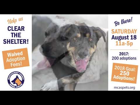 It’s time for National Clear the Shelter Day! August 18th 2018