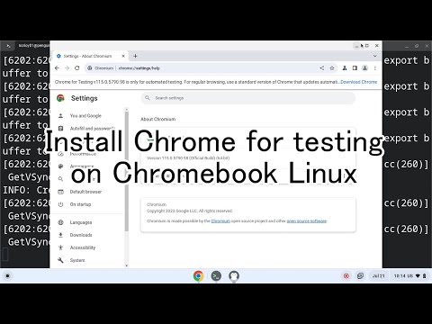 Install Chrome for testing on Chromebook Linux