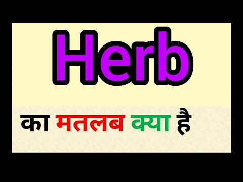 Herb meaning in hindi || herb ka matlab kya hota hai || word meaning english to hindi