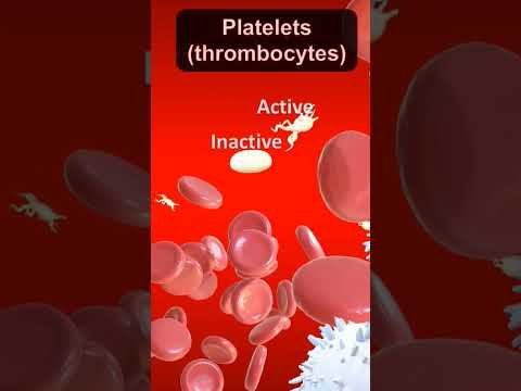 Functions of platelets #thrombocytes #platelets #platelet #sciencefacts
