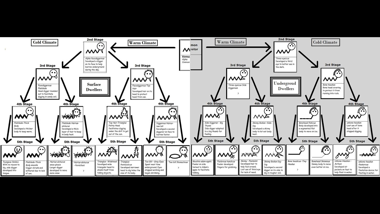 MS-LS4-2 Evolutionary Relationship