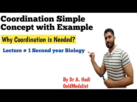 INTRO Coordination simple concept, Stimulus, receptor, effector
