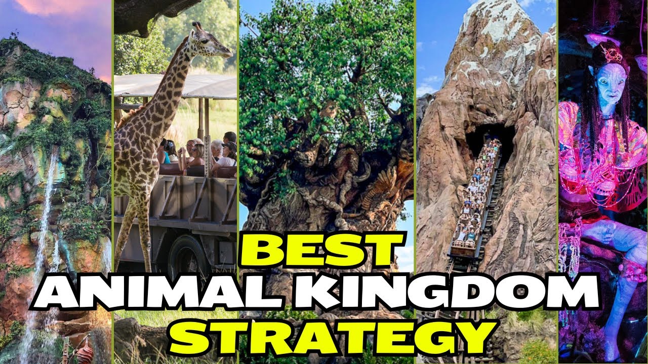 BEST Lightning Lane Strategy for Disney Worlds Animal Kingdom | ALL Rides in Half a Day