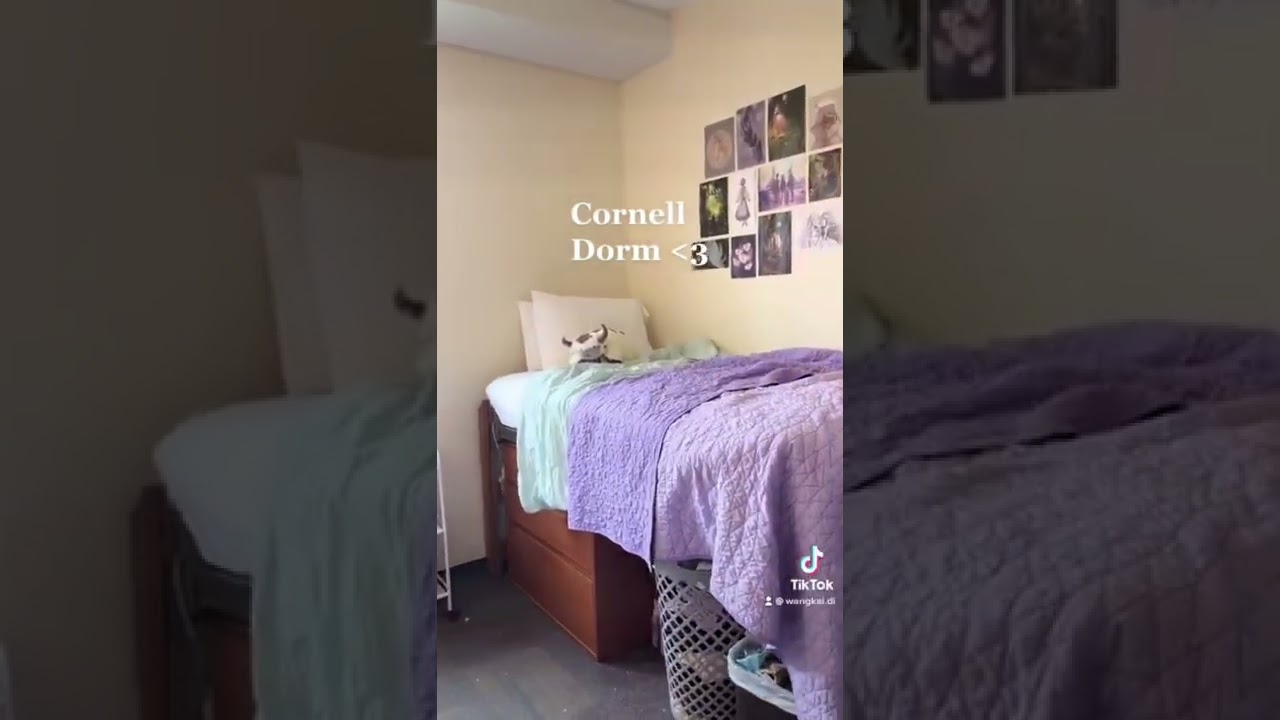 quick tour of my #cornelluniversity dorm #cornell #dormtour #roomcheck #ivyleague