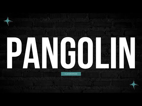 How to Pronounce Pangolin in English