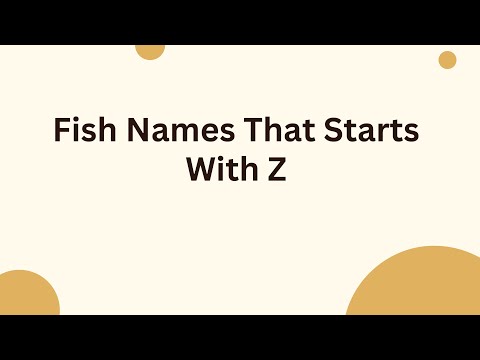 Fish Names That Starts With Z