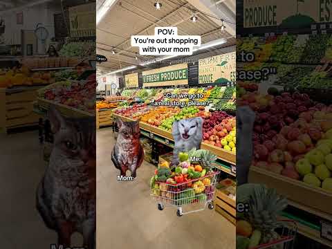 CAT MEMES ๐ฑYou're out shopping with your mom #catmemes #relatable #relationship