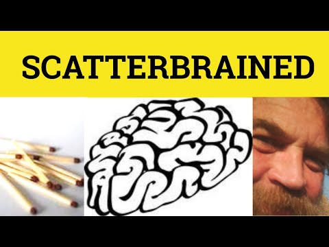 🔵 Scatterbrain Scatterbrained - Scatterbrained Meaning - Scatterbrain Examples - English Vocabulary