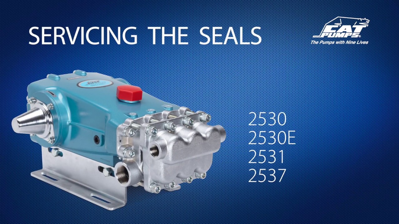 Servicing Seals - Cat Pumps Model 2530, 2530E, 2531, 2537