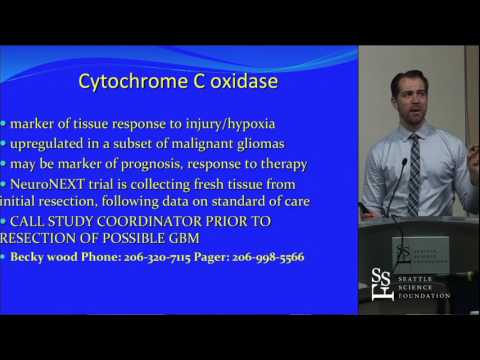 Clinical Trials in Brain Tumors - Jerome Graber, MD, MPH