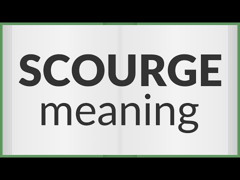 Scourge | meaning of Scourge