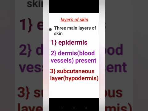 layer'sof skin||स्किन के कितने layer होते है||#nusing #skin#layer of skin#nursing#important #shorts