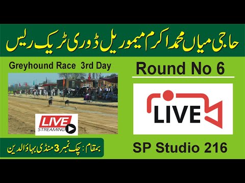 Live Dori Track Race Mandi Bahauddin | Q. Final | Mian Akram Group #dog #dori