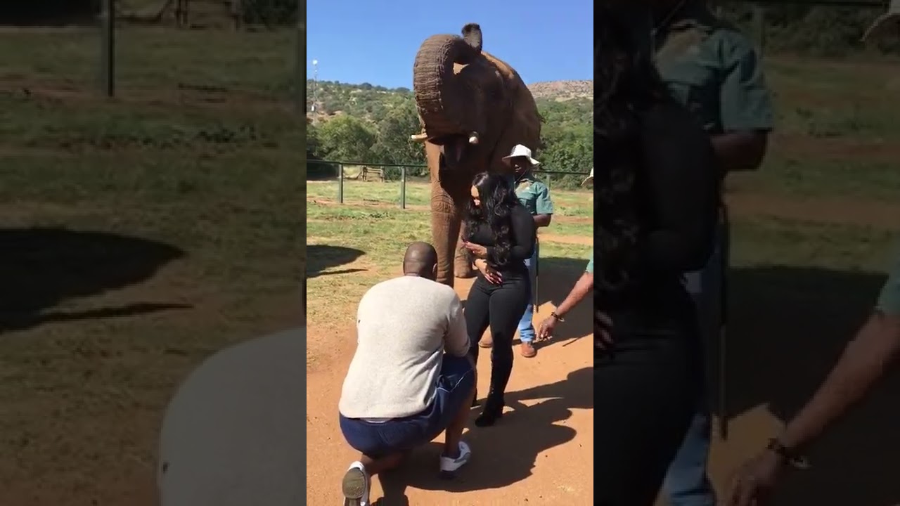 VID 20190511 WA00152