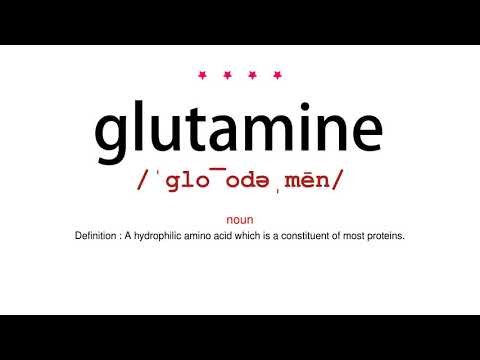How to pronounce glutamine - Vocab Today