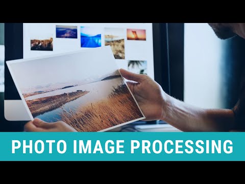 Photography Next Steps: Digital Image Processing
