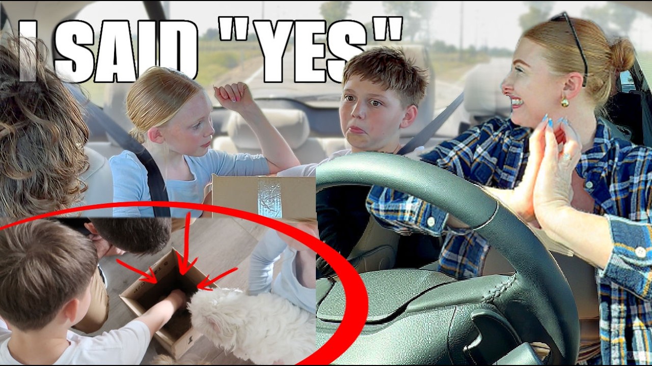 BIG NEWS for our family… ‼️🐣 (doing things different, reveal + names)