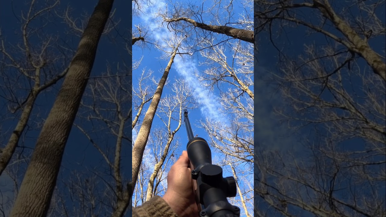Squirrel Hunting Tips and Tricks. #hunting #huntwithahenry #squirrelhunting