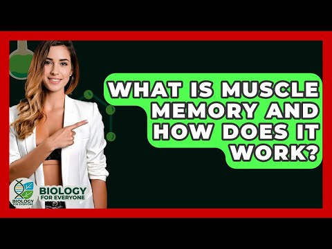 What Is Muscle Memory And How Does It Work? - Biology For Everyone