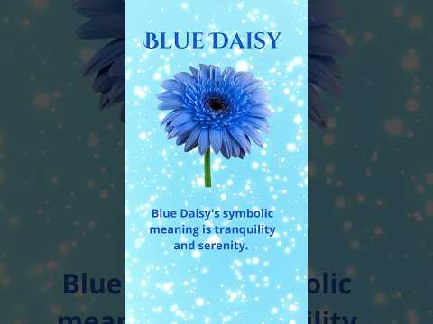 Blue Daisy’s symbolic meaning is tranquility and serenity 💙 want to learn more ? Click the link!