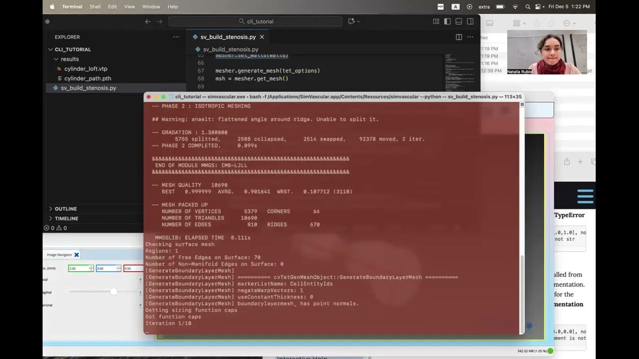 SimVascular Tutorial- Overview of Python API and CLI