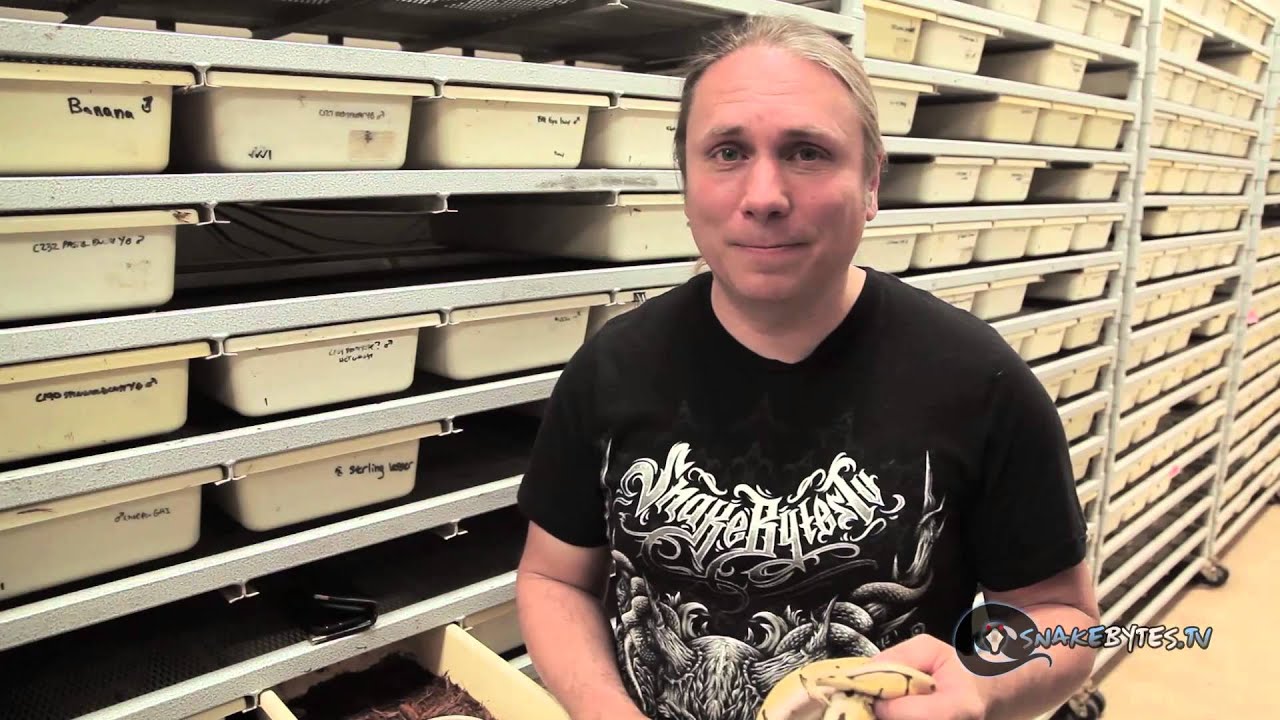 Why That Snake Bite Me? SnakeBytesTV