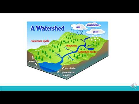 What are ecosystem services