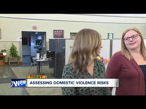 Assessing domestic violence risks