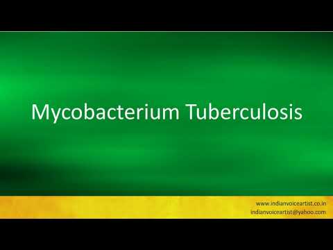 Pronunciation of the word(s) "Mycobacterium Tuberculosis".