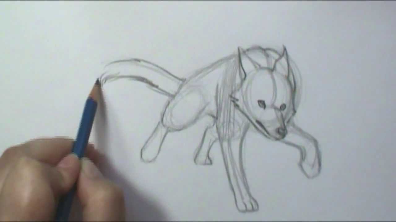 How to Draw Motion  Wolf Running