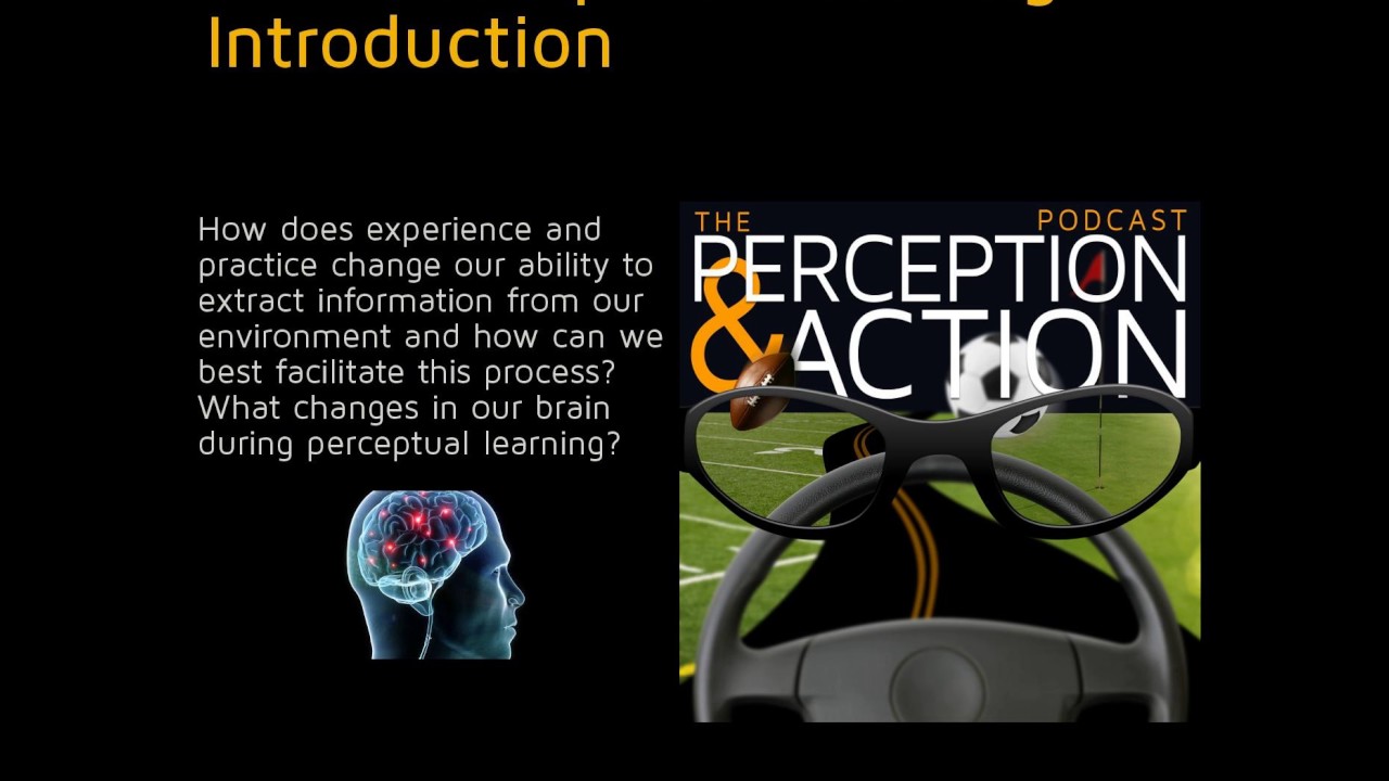 52 – Perceptual Learning I: Introduction