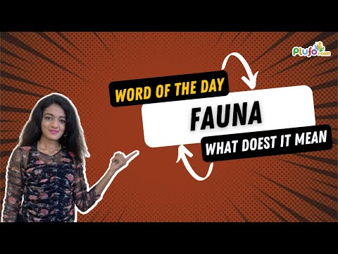 Fauna - Word of the day || What does it mean - Vocabulary