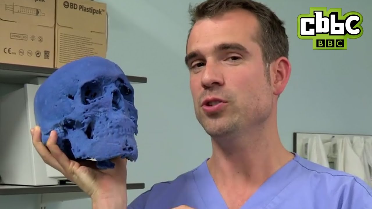 3D printed human skull on Operation Ouch! - CBBC