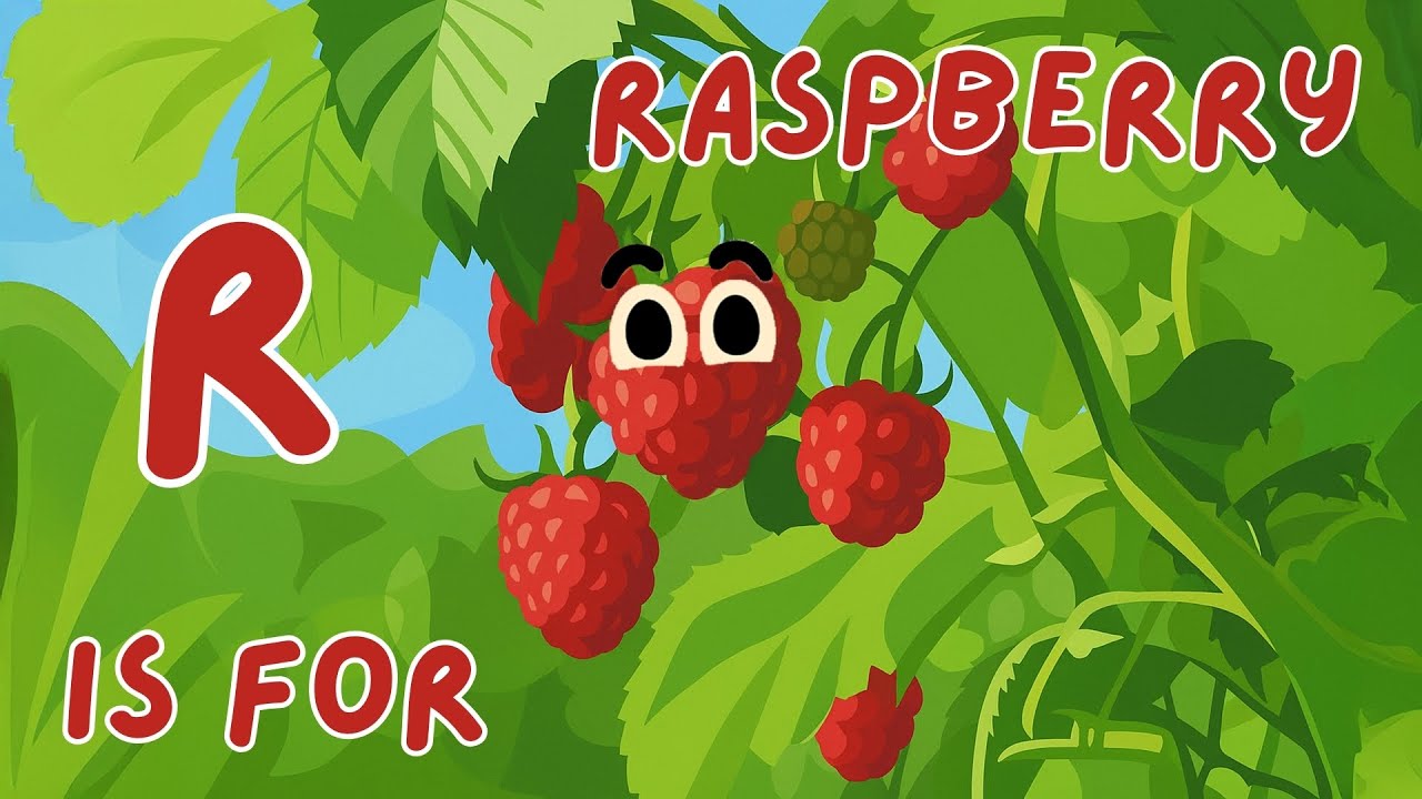 R is for Raspberry 🍓 | ABC Fruit Songs | Flat design vector art