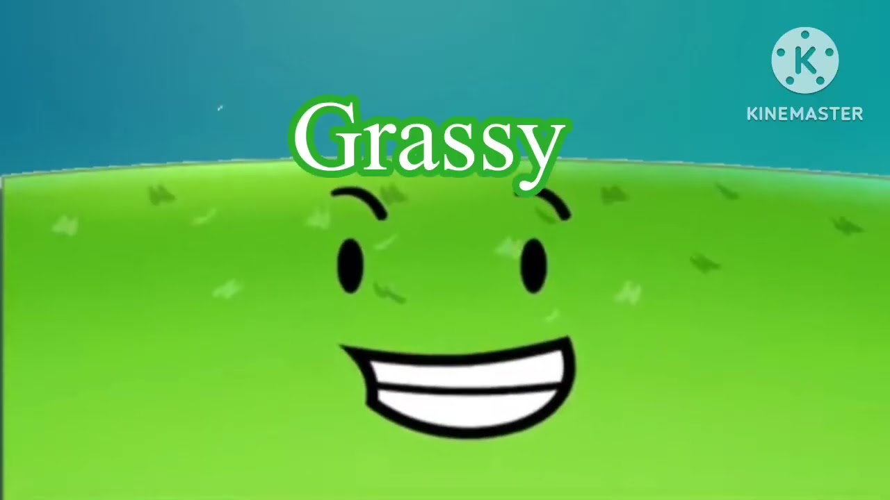 The Fun BFDI Facts Show Intro
