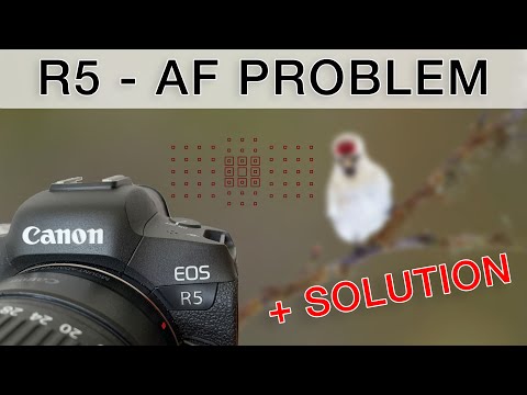 Canon R5: Autofocus problem & solution (bird photography) (4147C002)