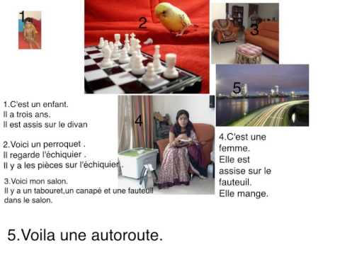 Description of pictures