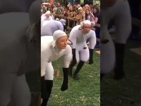 The sheep human contest in France #reddit #funnyvideo #funny #france #sheep #contest #weird #shorts