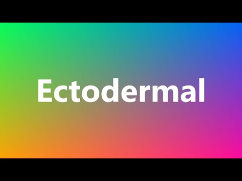 Ectodermal - Medical Meaning and Pronunciation