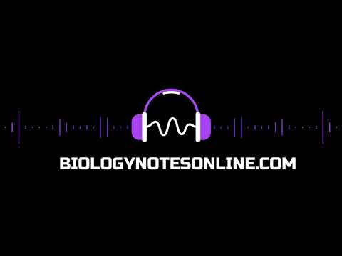What is High Throughput Sequencing (HTS)?