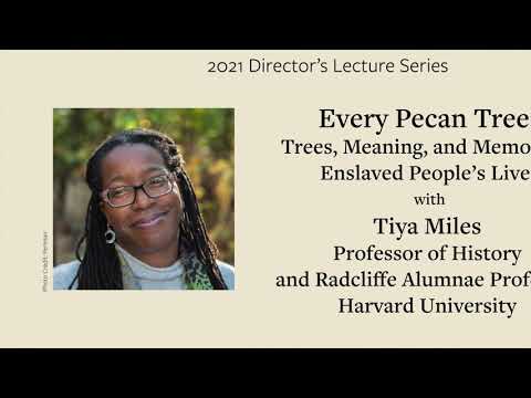 Every Pecan Tree: Trees, Meaning, and Memory in Enslaved People’s Lives