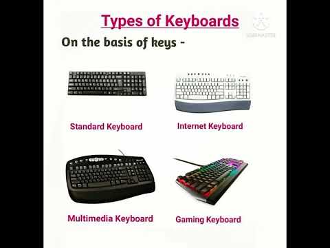 types of keyboard on the basis of keys |by learn computer skills