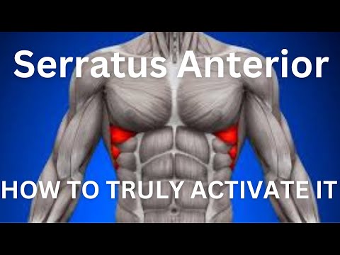 Run Better Now — Serratus Anterior Isolated Activation Exercise