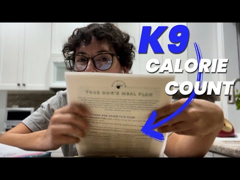 How to Calculate Your Dog's Daily Caloric Needs | Essential Guide for Pet Owners