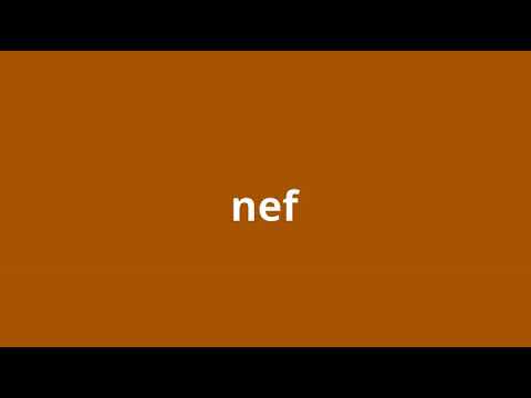 what is the meaning of nef